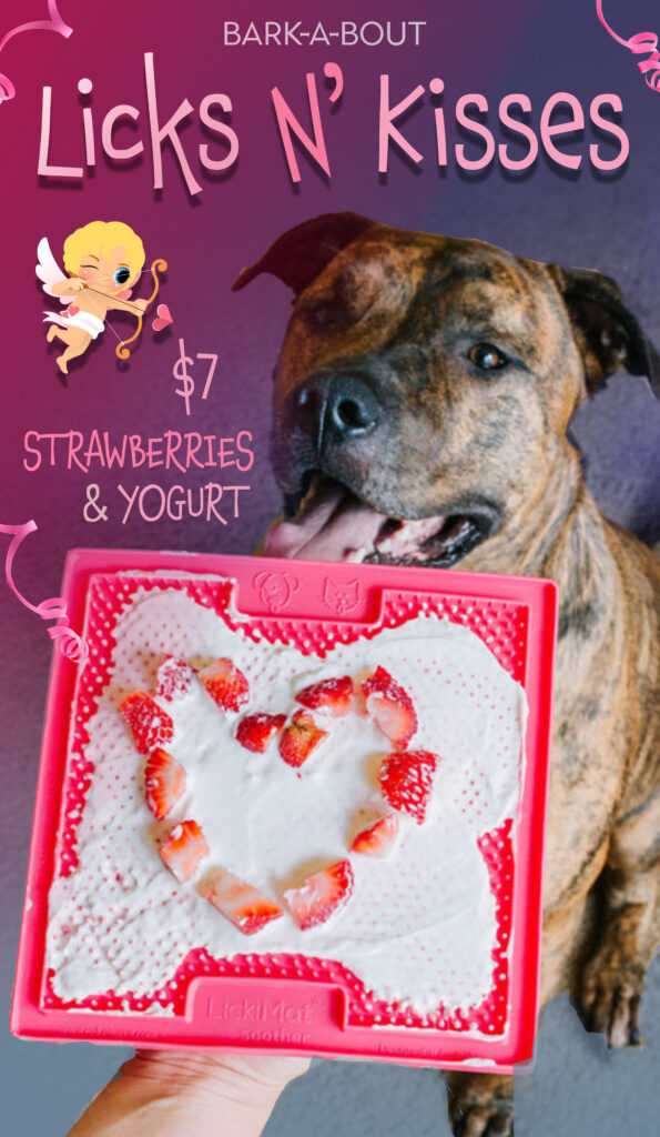 sPAWcials | Bark-A-Bout