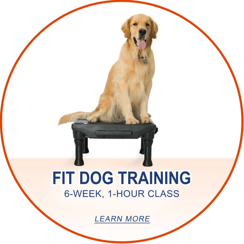 Dog Training Shelby Township MI | Bark-A-Bout