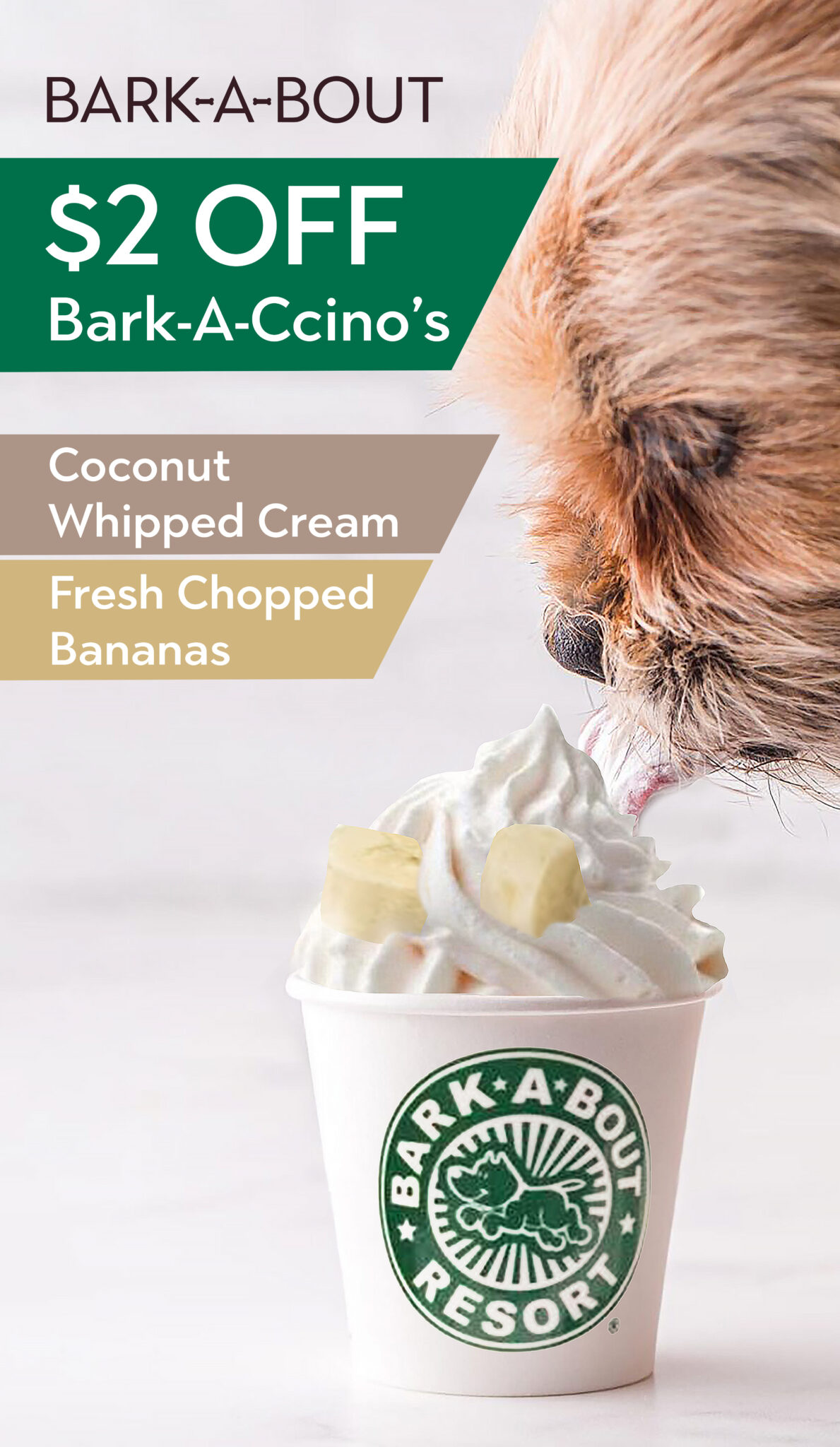 sPAWcials | Bark-A-Bout