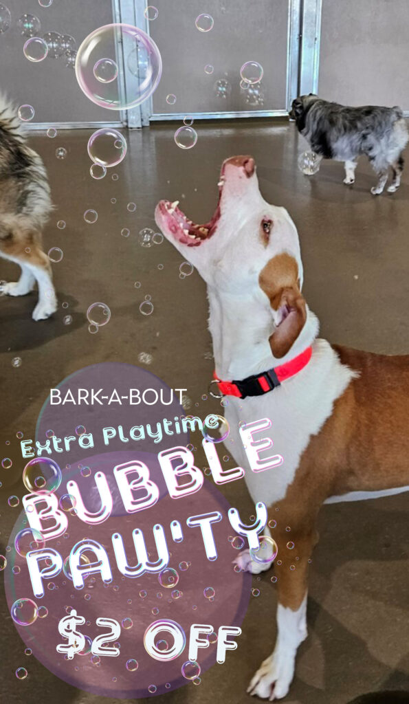 sPAWcials | Bark-A-Bout