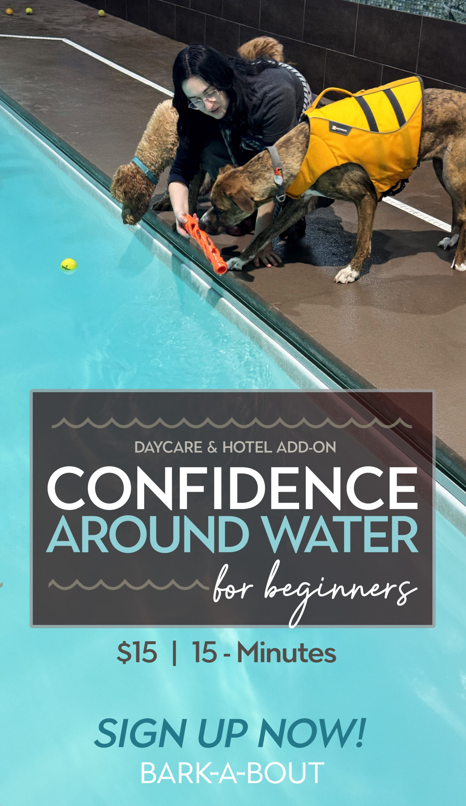 sPAWcials | Bark-A-Bout